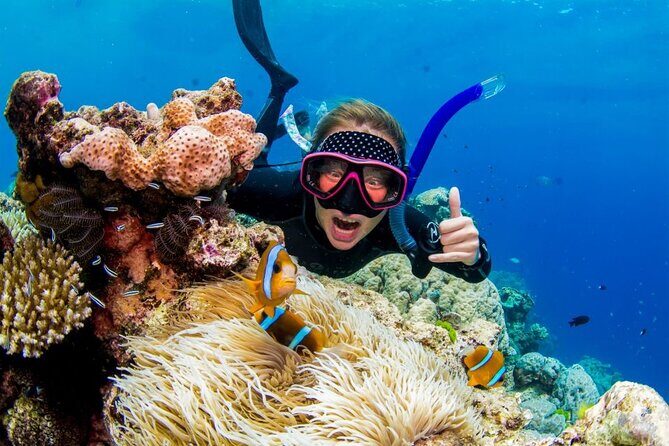 Margaritaville/Jeski Tour or Snorkeling in Montego Bay - Final Thoughts