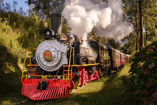 Maria Fumaça - Wines and History - Discovering Sustainable Farming