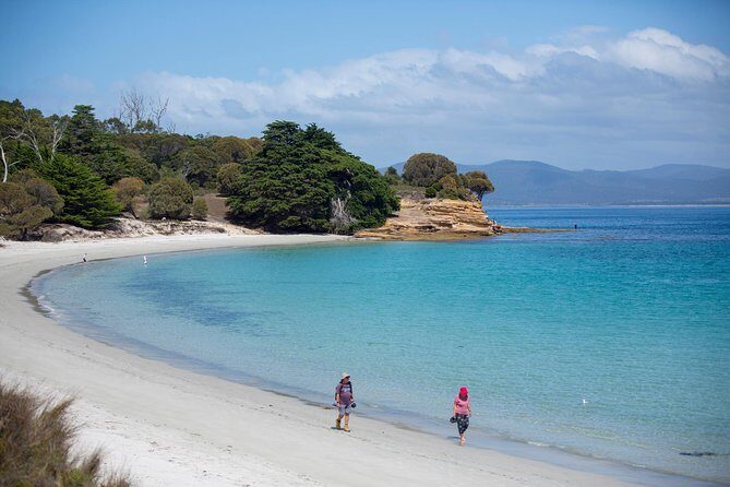 Maria Island Active Day Tour from Hobart - Wildlife Encounters