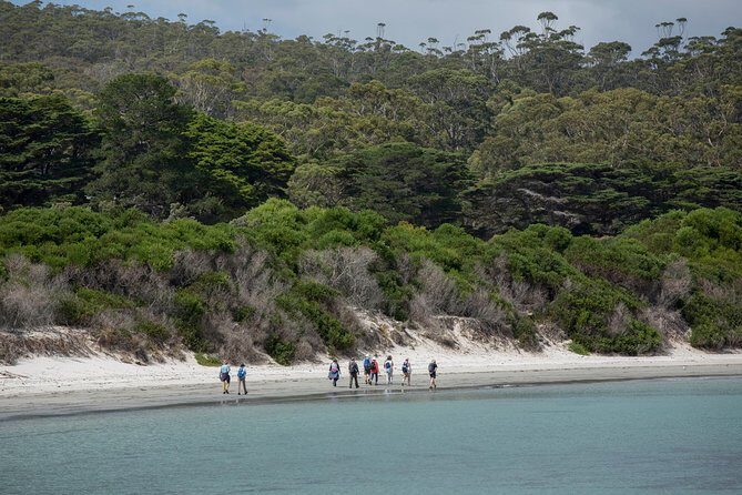 Maria Island Active Day Tour from Hobart - Reviews and Authentic Feedback