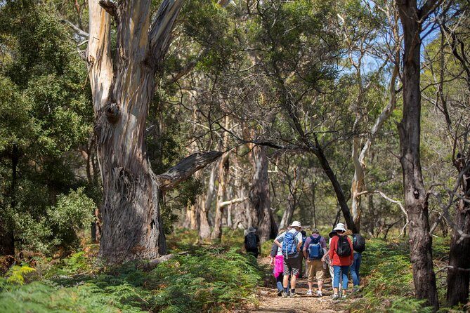 Maria Island Active Day Tour from Hobart - Who Will Love This Tour?