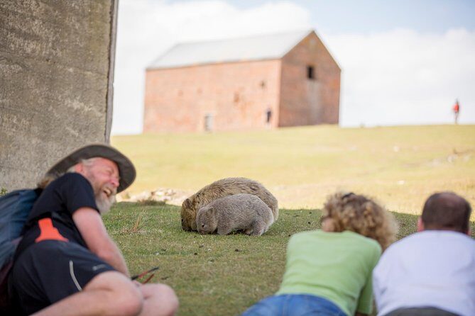 Maria Island Active Day Tour from Hobart - FAQ