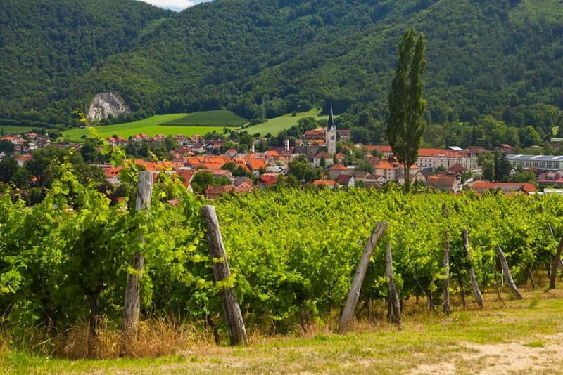 Maribor & Styria Tour with Wine Tasting - Transportation and Group Size