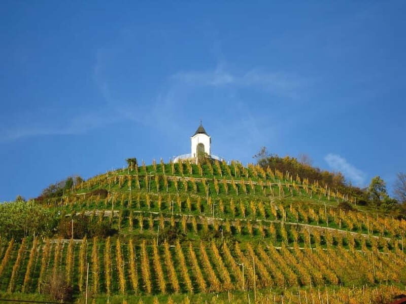 Maribor & Styria Tour with Wine Tasting - Cost and Value