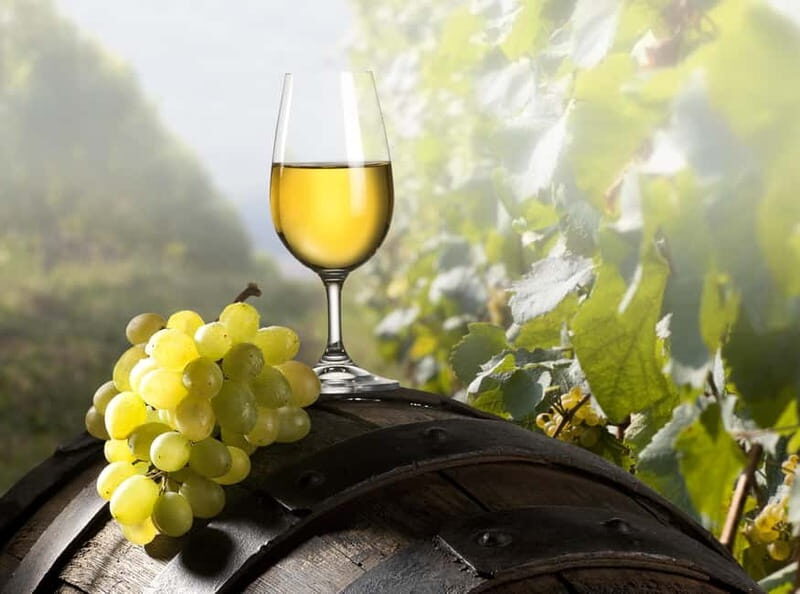 Maribor & Styria Tour with Wine Tasting - Who Should Consider This Tour?