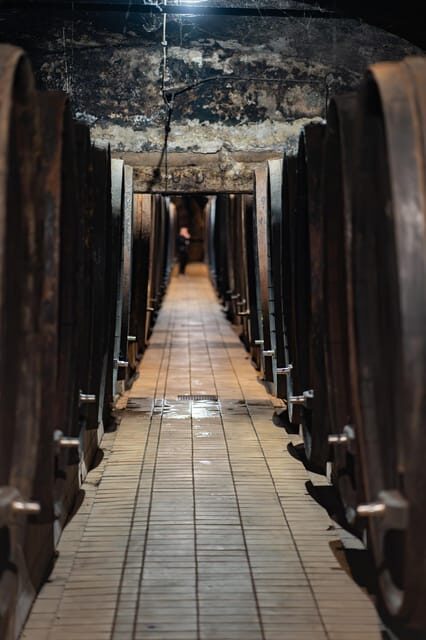 Maribor: Vinag Wine Cellar Tour with Wine tasting and snacks - Who Will Appreciate This Tour?
