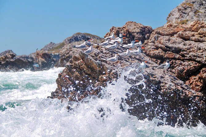 Marietas Hidden beach trip from Puerto Vallarta - Authentic Experiences and Honest Feedback