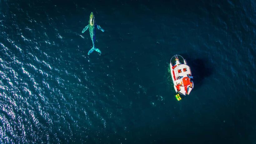 Marietas Islands Boat Tour: Snorkel, Kayak, Playa Nopalera - The Value of the Marietas Islands Boat Tour