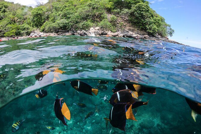 Marietas Islands Sailing Private Tour - 8 Hours of Paradise - In Summary