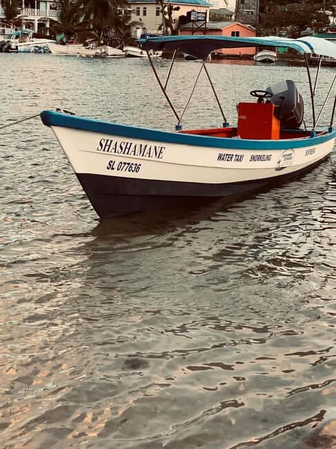 Marigot st Lucia boat tours and water activities , private - Who Should Book This Tour?