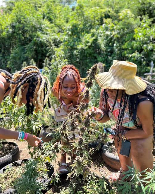 Marijuana Farm & Bamboo Rafting with Limestone Foot Massage - Who Should Consider This Tour?