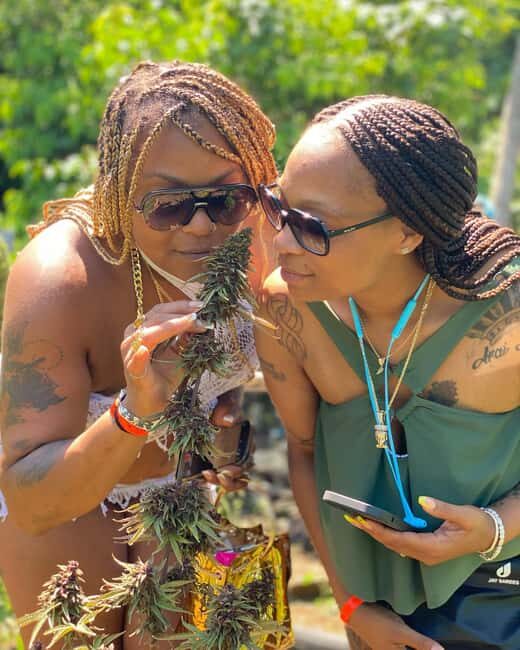 Marijuana Farm & Bamboo Rafting with Limestone Foot Massage - The Sum Up