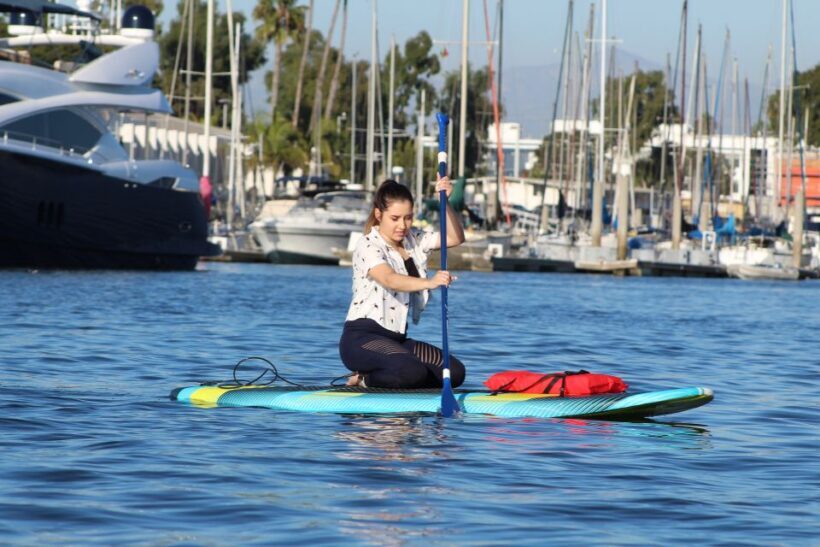 Marina Del Rey: Kayak and Paddleboard Tour with Sea Lions - The Experience of Paddling