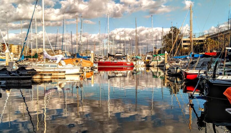 Marina Del Rey Luxury Boat Cruise Wine, Charcuterie Sealions - The Captain and Guide: Knowledge and Hospitality