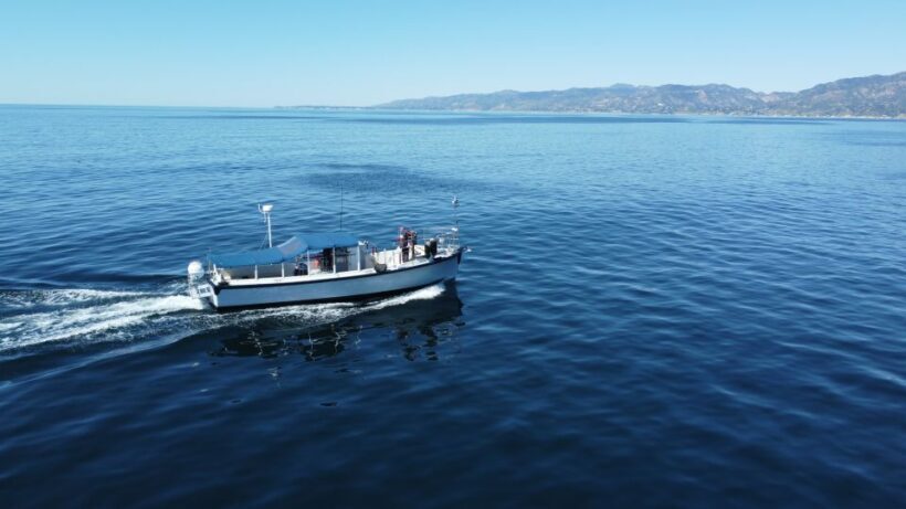 Marina Del Rey Party Boat 1 to 15 Passengers - What to Bring and Practical Tips