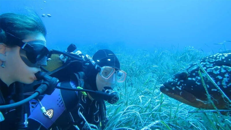 MARINA DI CAMPO: DIVING ON THE ISLAND OF ELBA AND PIANOSA - An Introduction to This Diving Adventure