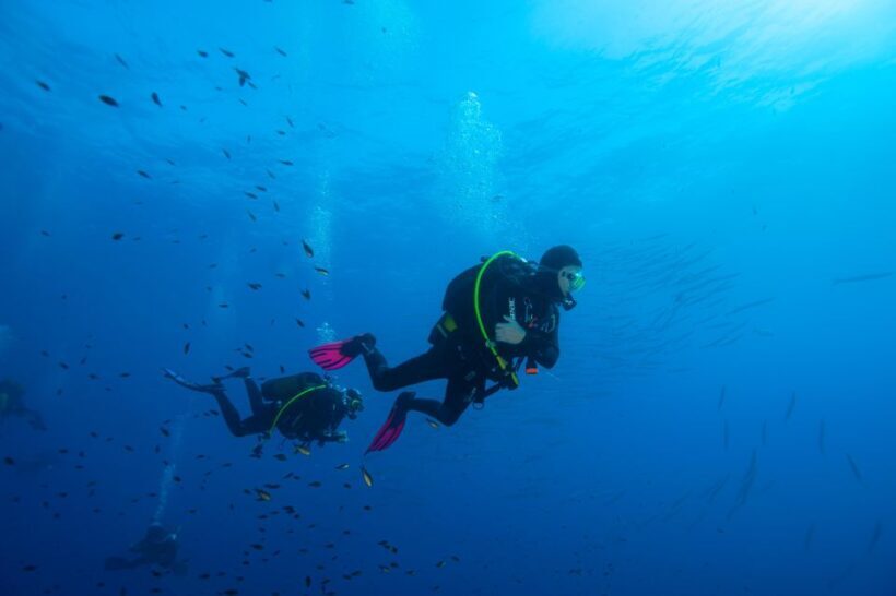 MARINA DI CAMPO: DIVING ON THE ISLAND OF ELBA AND PIANOSA - Practical Tips for Participants