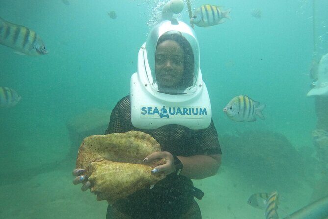 Marine Adventure Tour - Frequently Asked Questions (FAQs)