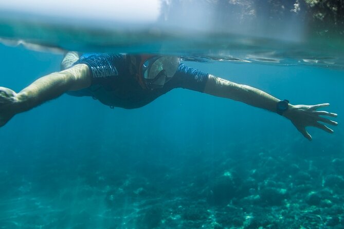Marine Biology & Snorkelling Experience in the Cinque Terre - Key Points