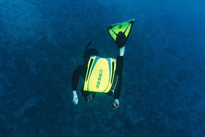 Marine Biology & Snorkelling Experience in the Cinque Terre - What to Keep in Mind