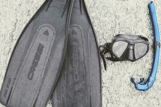 Marine Biology & Snorkelling Experience in the Cinque Terre - Authentic Perspectives from Participants