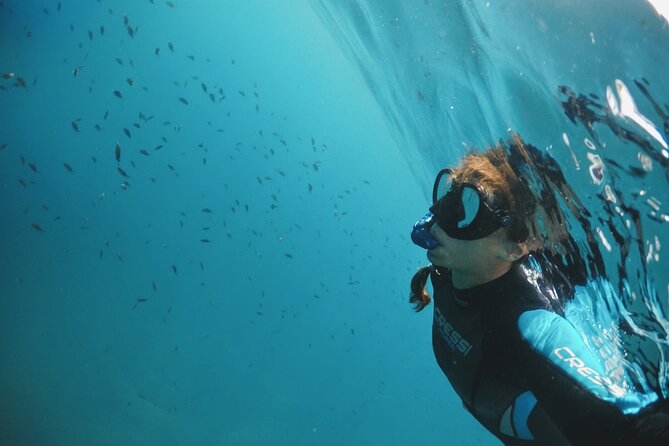 Marine Biology & Snorkelling Experience in the Cinque Terre - Why This Tour Matters
