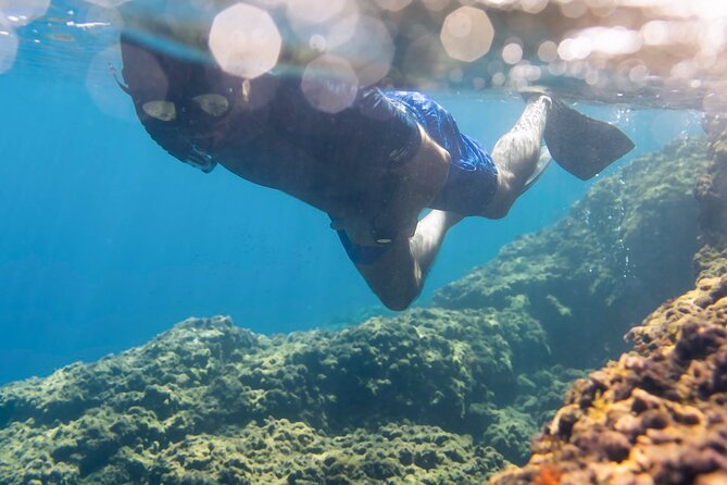 Marine Biology & Snorkelling Experience in the Cinque Terre - The Sum Up