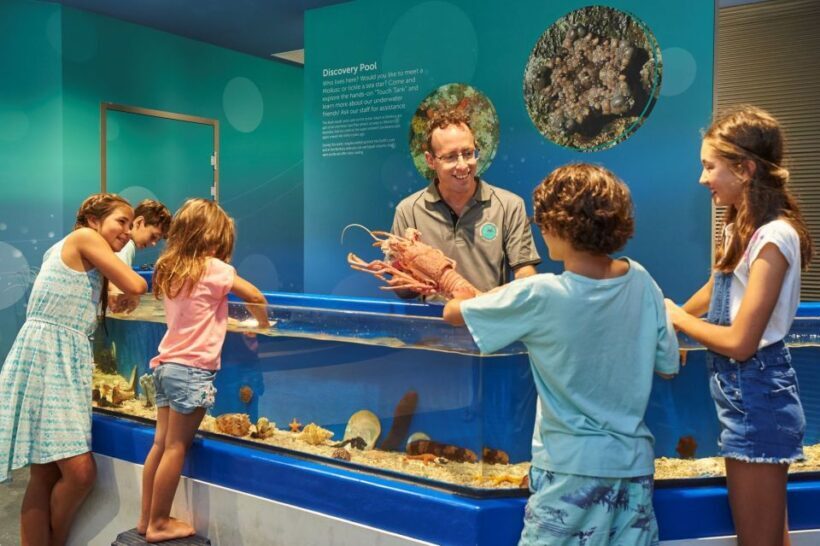 Marine Discovery Centre - What Is the Marine Discovery Centre?