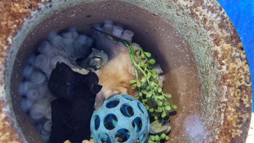 Marine Discovery Centre - Practical Tips for Visiting
