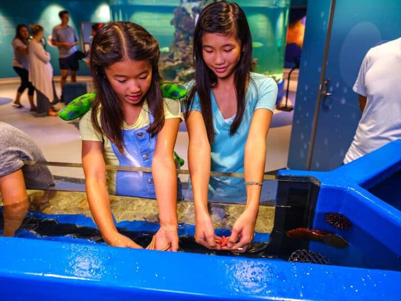 Marine Discovery Centre - The Value of the Experience