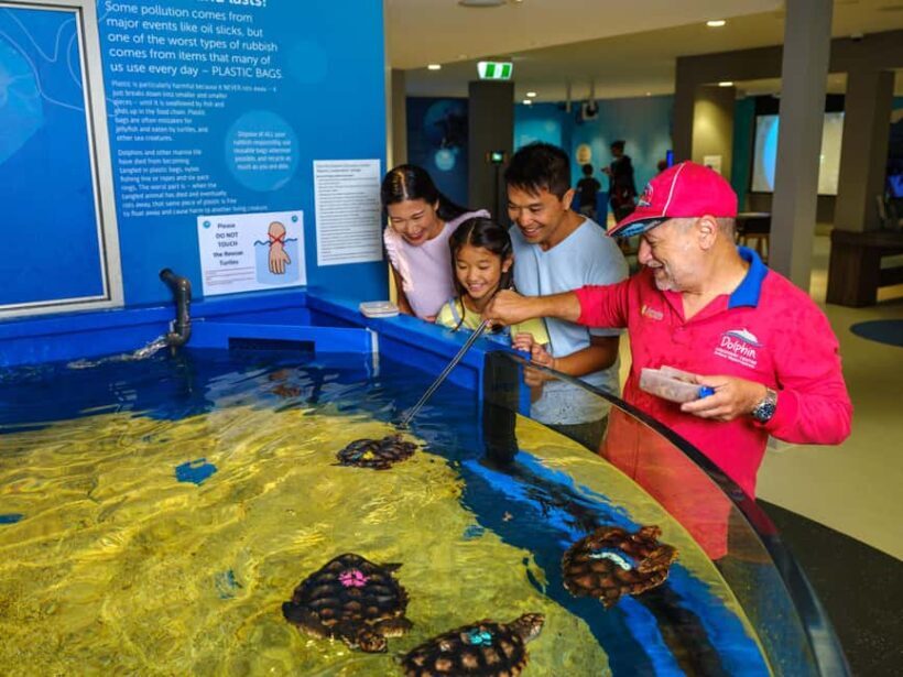 Marine Discovery Centre - Who Should Visit?
