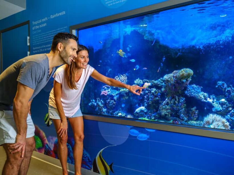 Marine Discovery Centre - The Sum Up