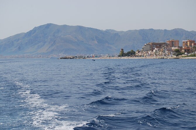 Marine Reserve of Isola Delle Femmine Capo Gallo - Private Tour Benefits and Group Exclusivity