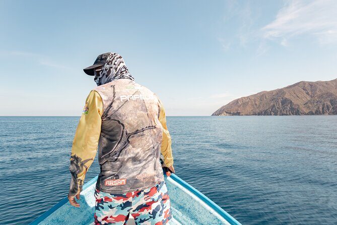 Marine Safari in La Ventana - An Introduction to the Marine Safari Experience