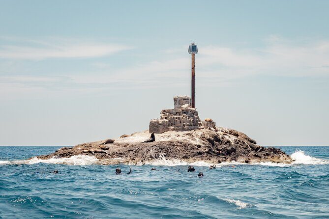 Marine Safari in La Ventana - Value and Practical Considerations