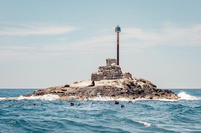 Marine Safari in La Ventana - The Sum Up: Who Wins With This Safari?