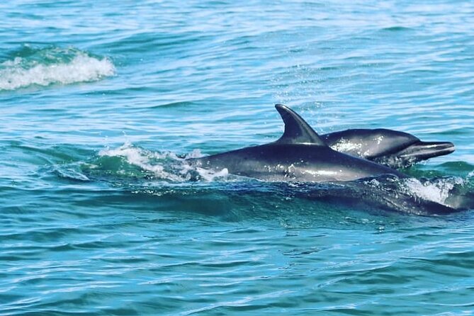 Marine Tour Combo Marino Ballena National Park - Customer Experiences and Feedback