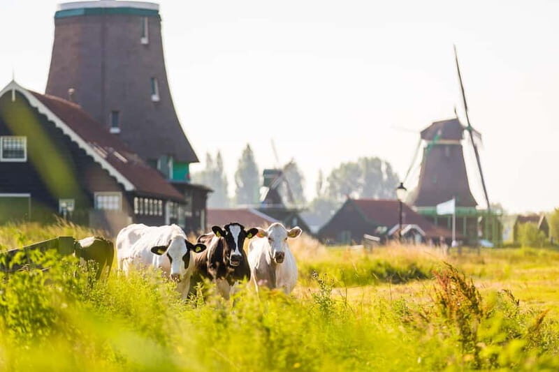 Marken, Volendam, and Edam Full-Day Tour from Amsterdam - Introduction