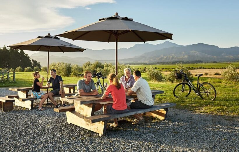 Marlborough: Full-Day Self-Guided Biking Wine Tour - Key Points