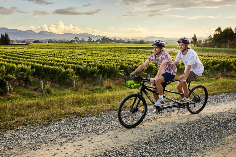 Marlborough: Full-Day Self-Guided Biking Wine Tour - Explore More