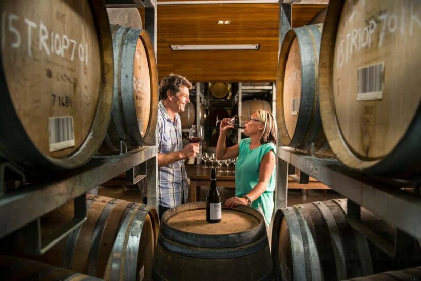 Marlborough: Full-Day Wine and Seafood Tour with Cruise - Authentic Experiences and Insights