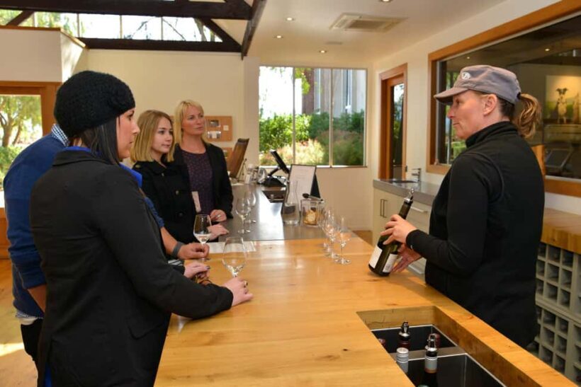 Marlborough Full Day Wine Tour from Blenheim - Final Thoughts: Is This Tour Right for You?