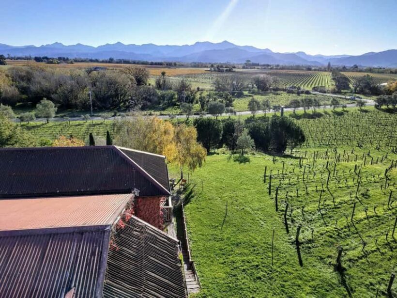 Marlborough: Full-Day Wine Tour - Key Points