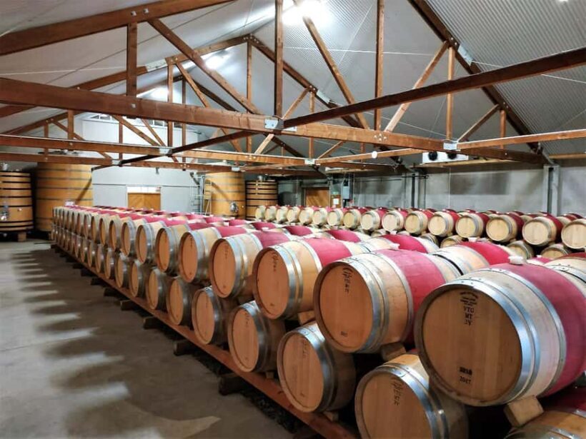 Marlborough: Full-Day Wine Tour - An Authentic Taste of Marlborough’s Wines