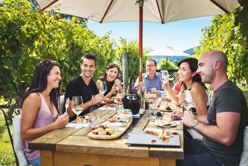 Marlborough: Full Day "Winemaker's Tour" - Key Points