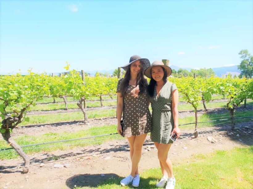 Marlborough: Full Day "Winemaker's Tour" - An In-Depth Look at the Marlborough Winemakers Tour