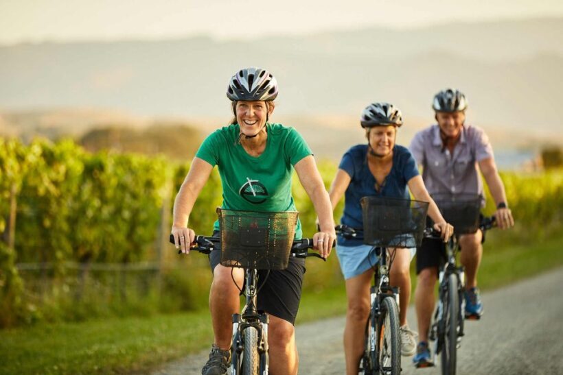 Marlborough: Half Guided and Half Self-Guided Bike Wine Tour - Authentic Experiences and Authentic Wines