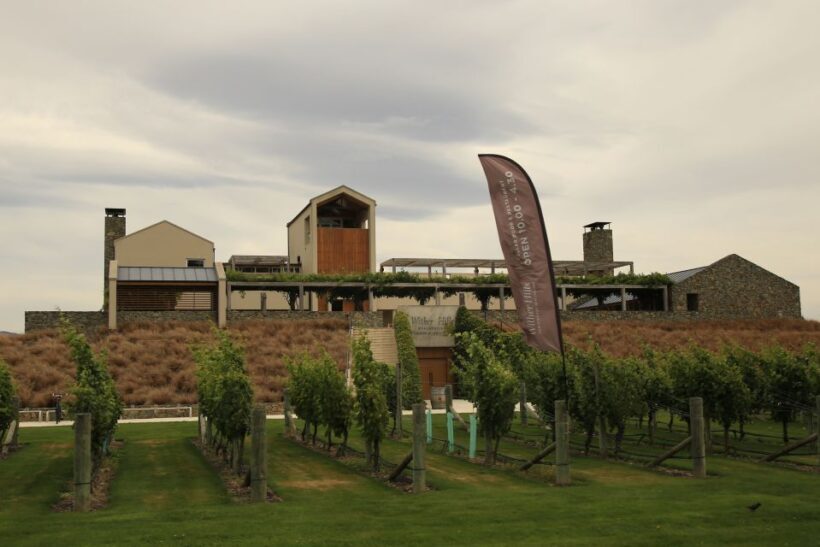 Marlborough: Hop-On Hop-Off Wine, Brewery, and Wonders Tour - An In-Depth Look at the Marlborough Hop-On Hop-Off Tour