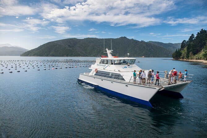 Marlborough Icons Tour - Wine tasting + Cruise - In Closing