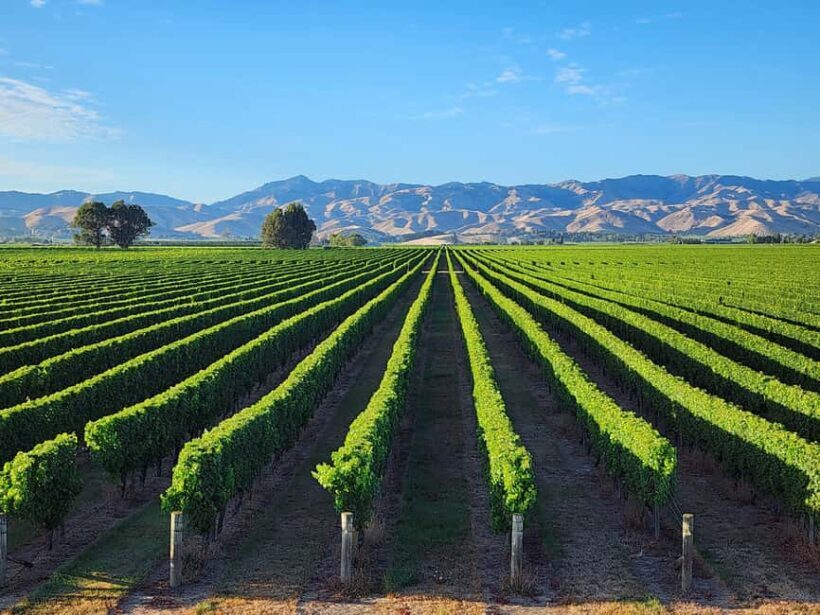 Marlborough Private Boutique Wine Tour - FAQ